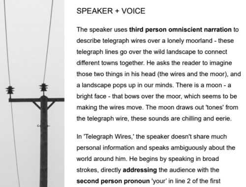 'Telegraph Wires' by Ted Hughes - Complete Lesson + Study Guide ...