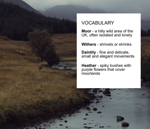 'Telegraph Wires' by Ted Hughes - Complete Lesson + Study Guide ...