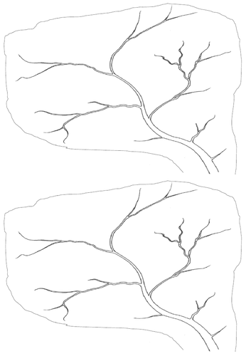 WJEC GCSE Theme 1: L12: Landscapes and Physical Processes – Drainage ...