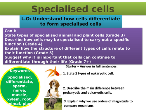 GCSE Science B1 Cell structure and transport Powerpoints and exam questions | Teaching Resources