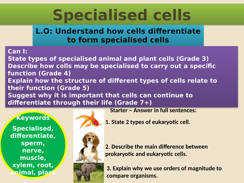 GCSE Science B1 Cell structure and transport Powerpoints and exam questions | Teaching Resources