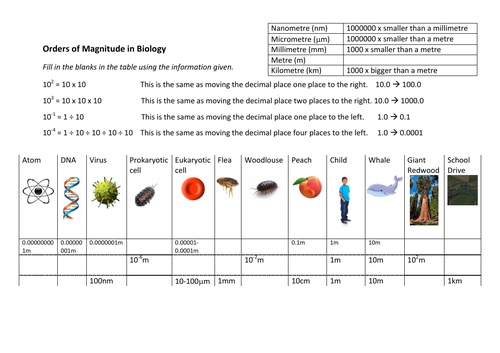 GCSE Science B1 Cell structure and transport Powerpoints and exam ...