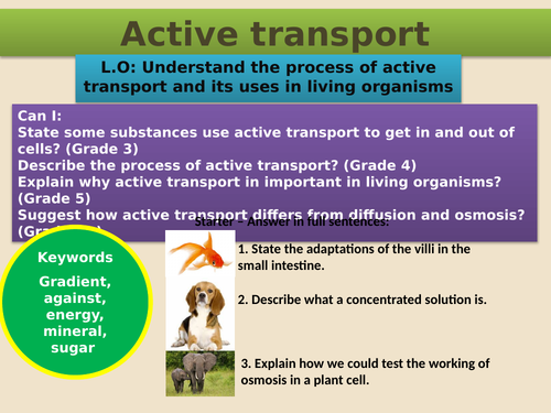 GCSE Science B1 Cell structure and transport Powerpoints and exam questions | Teaching Resources