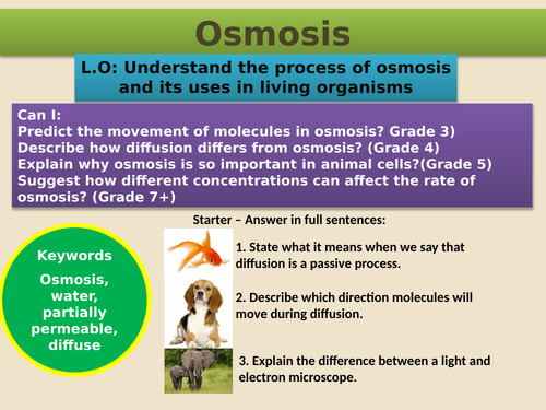 GCSE Science B1 Cell structure and transport Powerpoints and exam ...