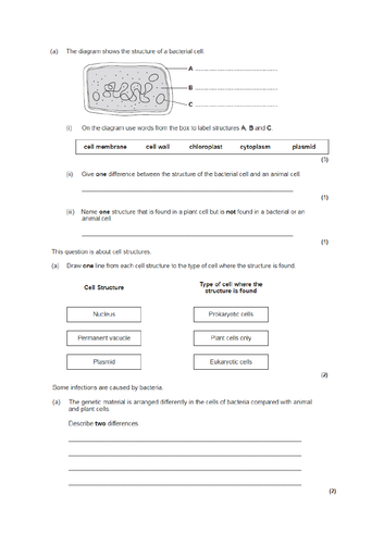 GCSE Science B1 Cell structure and transport Powerpoints and exam ...