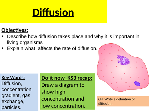 GCSE Science B1 Cell structure and transport Powerpoints and exam ...