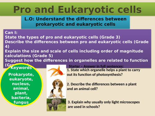 GCSE Science B1 Cell structure and transport Powerpoints and exam questions | Teaching Resources