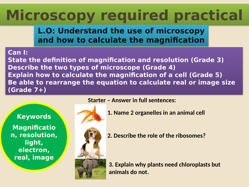 GCSE Science B1 Cell structure and transport Powerpoints and exam questions | Teaching Resources