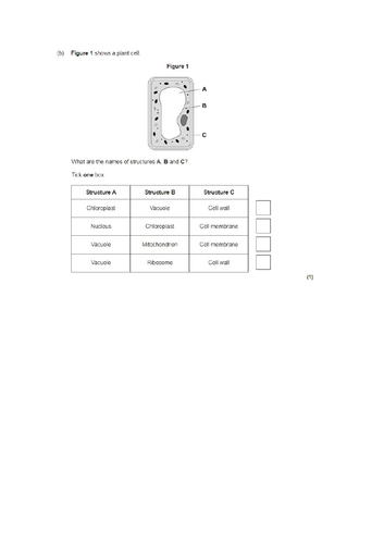 GCSE Science B1 Cell structure and transport Powerpoints and exam ...