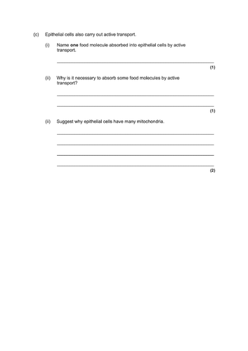 GCSE Science B1 Cell structure and transport Powerpoints and exam ...