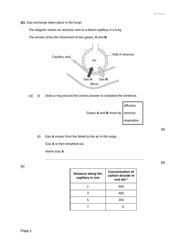 GCSE Science B1 Cell structure and transport Powerpoints and exam ...