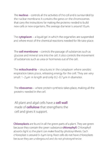 GCSE Science B1 Cell structure and transport Powerpoints and exam ...