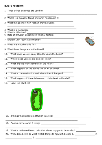 Biology revision KS4 | Teaching Resources