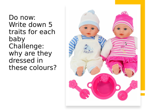 Gender Sex And Gender Teaching Resources