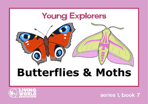 Butterflies and Moths ebook | Teaching Resources