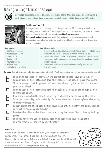 Microscopy: Human Cheek Cells Instructions and Worksheet | Teaching ...