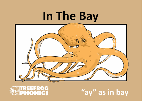 ay In the Bay phonics ebook | Teaching Resources