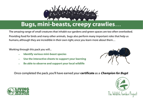 Bugs Minibeasts & Creepy Crawlies Pack | Teaching Resources