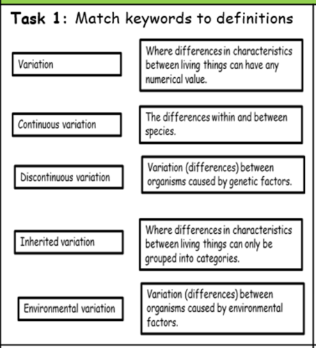 Variation assessment | Teaching Resources