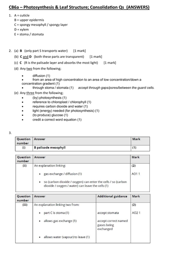 CB6a - Photosynthesis & Leaf Structure Consolidation Questions (Edexcel ...