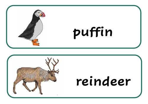 Arctic Animals - KS1 story writing | Teaching Resources