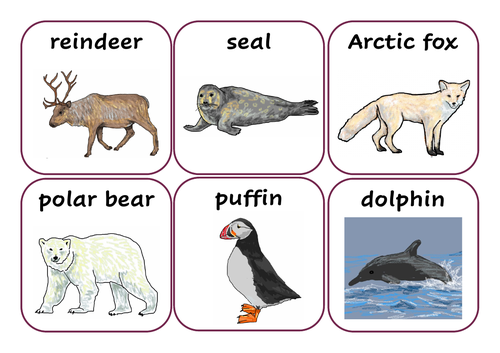 Arctic Animals - KS1 story writing | Teaching Resources
