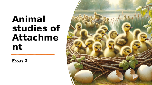 Animal Studies of Attachment | Teaching Resources