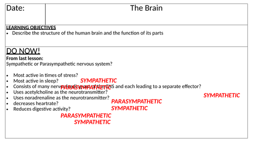 OCR A Level biology - NERVES AND MUSCLES | Teaching Resources