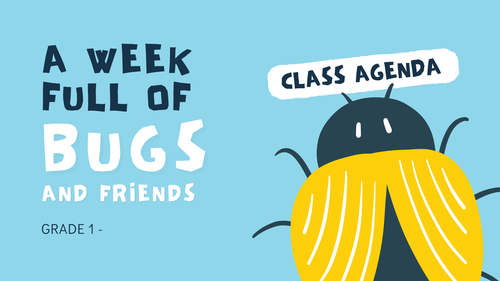 Bugs & Friends Adventure: Grade 1 Educational Pack | Teaching Resources