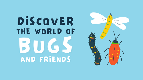 Bugs & Friends Adventure: Grade 1 Educational Pack | Teaching Resources