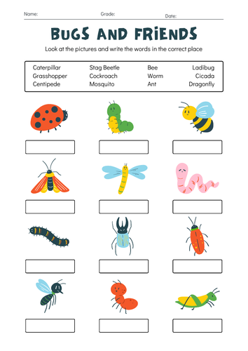 Bugs & Friends Adventure: Grade 1 Educational Pack | Teaching Resources