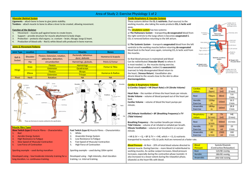 GCSE KO Area 2 Exercise Physiology Recall sheet and answers | Teaching Resources