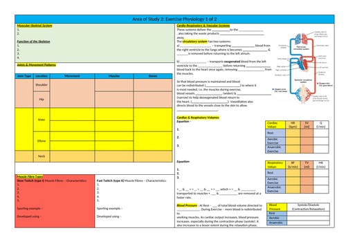 GCSE KO Area 2 Exercise Physiology Recall sheet and answers | Teaching Resources