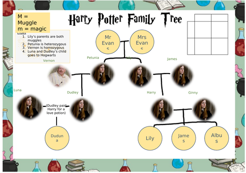 Harry Potter Genetics | Teaching Resources