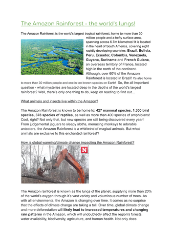 Amazon rainforest information | Teaching Resources