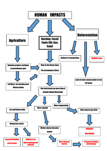 Human Impact on Climate Change with questions | Teaching Resources