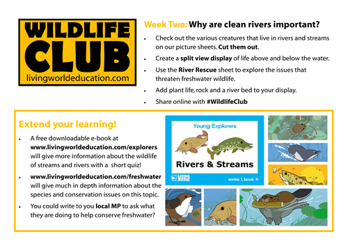 River Rescue display idea puzzle and colouring | Teaching Resources