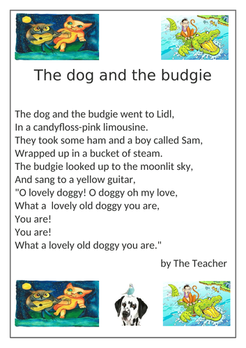 Writing a Poem modelled on the Owl and the Pussycat | Teaching Resources