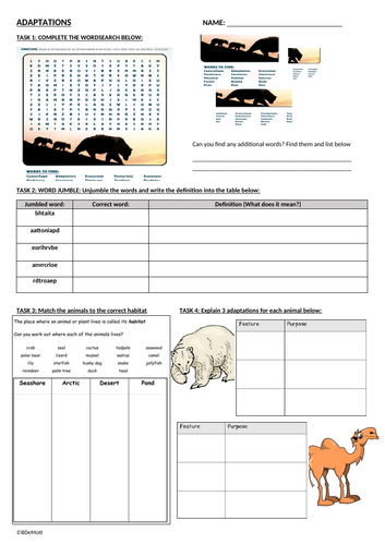 Science Supply/Cover/Substitute Lesson Worksheets | Teaching Resources