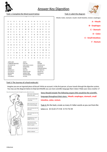 Science Supply/Cover/Substitute Lesson Worksheets | Teaching Resources