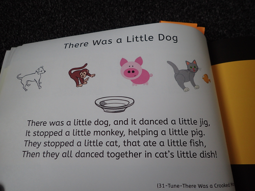 Early learning #eyfs #nurseryrhymes #literacy #festivals #Christmas ...