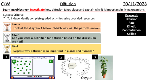 B1 Diffusion | Teaching Resources