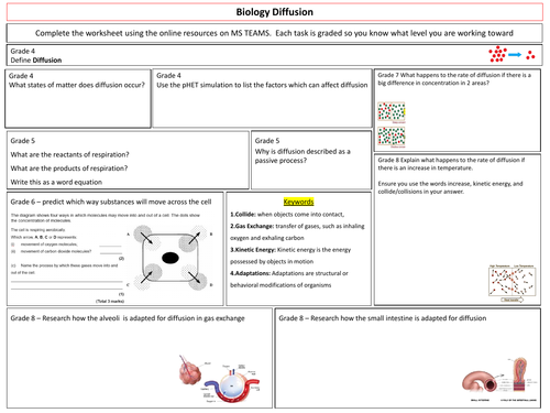 B1 Diffusion | Teaching Resources