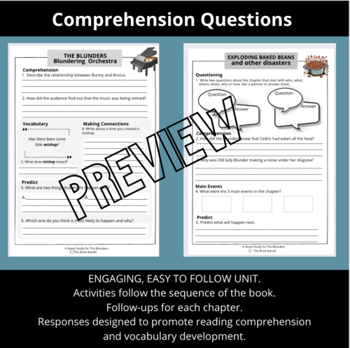 THE BLUNDERS Novel Study and Reading Comprehension BOOK COMPANION ...