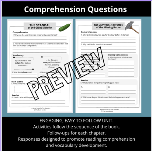 THE BLUNDERS Novel Study and Reading Comprehension BOOK COMPANION ...