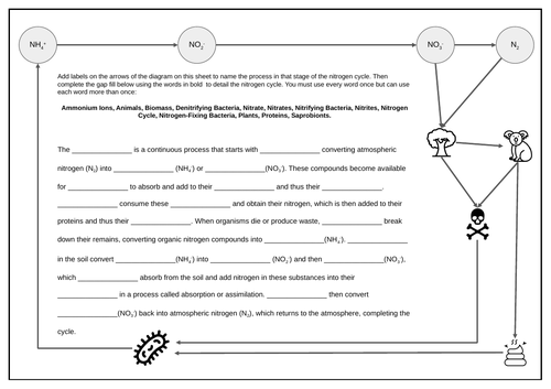 Nitrogen Cycle - Lesson Mat | Teaching Resources