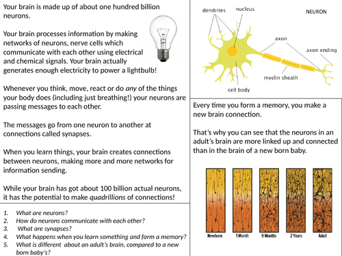 Lesson 2 - How does my Brain work? | Teaching Resources