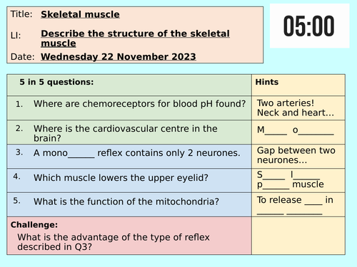 Mammalian muscle - OCR A 5.1.5 L (Biology) | Teaching Resources