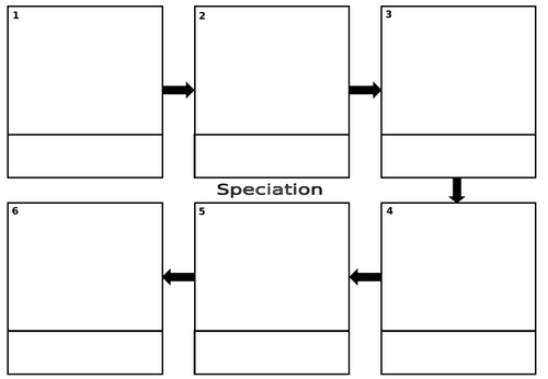 AQA GCSE Biology - Speciation lesson | Teaching Resources