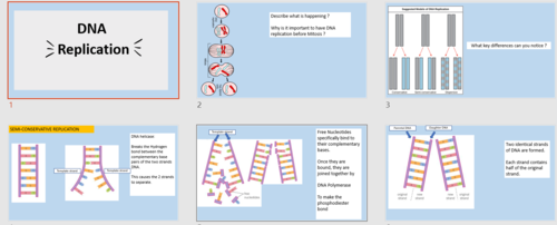 DNA Replication - A level Biology | Teaching Resources
